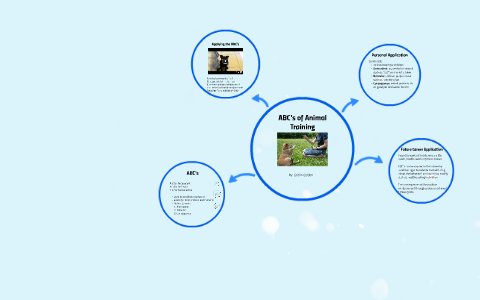 ABC's of Animal Training by Caitlin Golden on Prezi