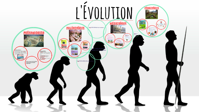 l'évolution de l'espèce by Erika Monnière on Prezi