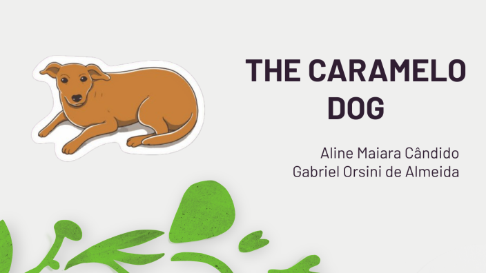 The Caramelo Dog by ALINE CANDIDO on Prezi