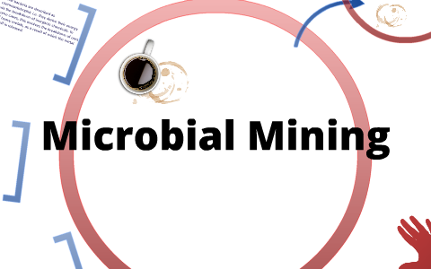 Microbial Mining by Helina hein on Prezi