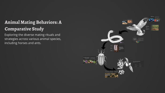 Animal Mating Behaviors: A Comparative Study by Mamad Gholi on Prezi