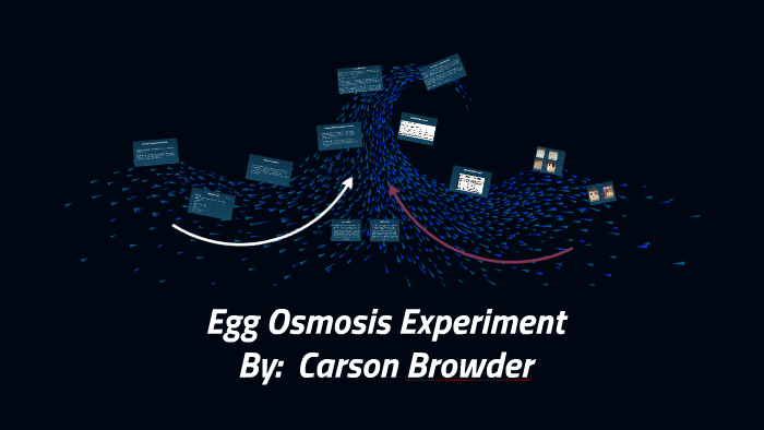 Egg Osmosis Experiment by Carson Browder on Prezi