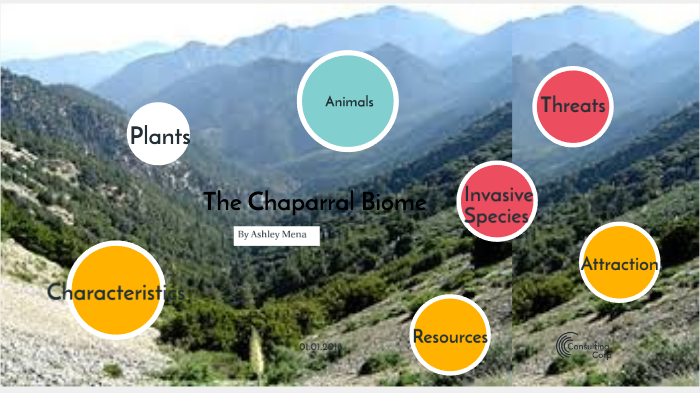 The Chaparral Biomes by Ashley Mena on Prezi
