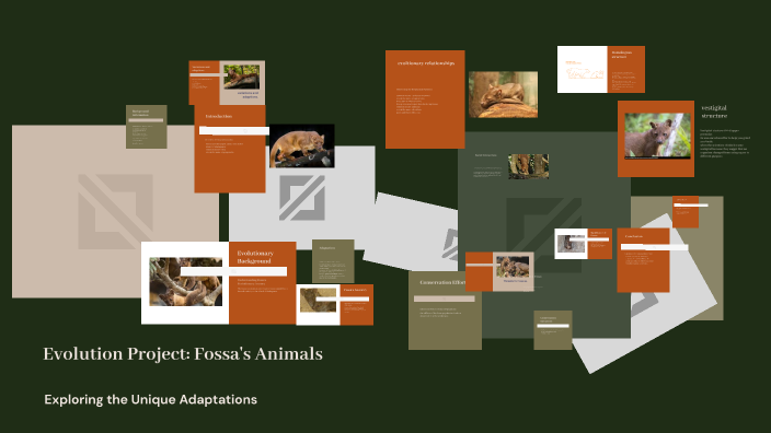 Evolution project of fossa by Giselle Sanchez on Prezi