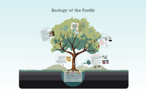 Basic Family Structure by Joshua Stewart on Prezi