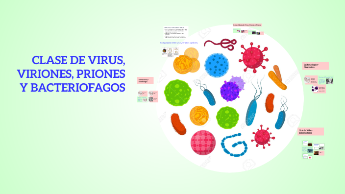CLASE DE VIRUS, VIRIONES, PRIONES Y BACTERIOFAGOS by Michelle Rojas on ...
