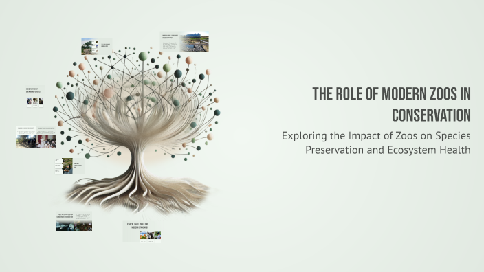 The Role of Modern Zoos in Conservation by Sarah Tingvoll on Prezi