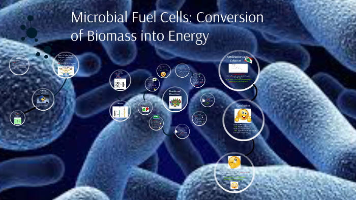 Microbial Fuel Cells: Conversion of Biomass into Energy by Fatima EL ...