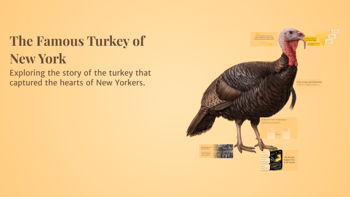 The Famous Turkey of New York by maddex jackson on Prezi