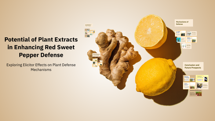 Potential of Plant Extracts in Enhancing Red Sweet Pepper Defense by ...