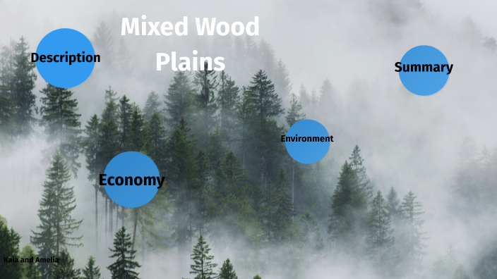 Mixed Wood Plains Ecozone by Kaia Harbec on Prezi