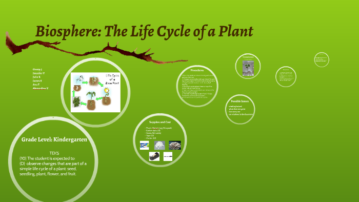 Biosphere: The Life Cycle of a Plant by on Prezi