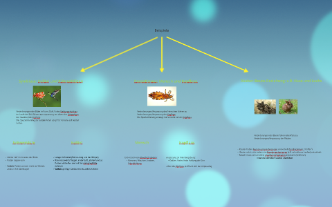 Bio Koevolution by Nic Solle on Prezi