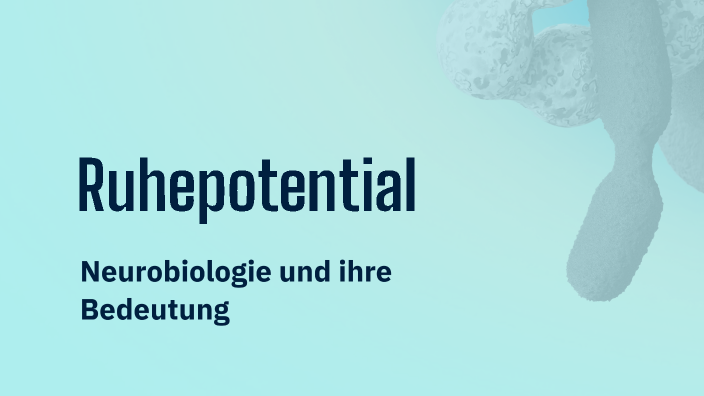 Ruhepotential by Zakaria Lamhallam on Prezi