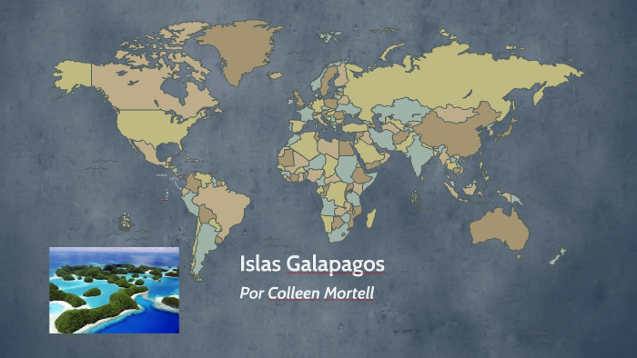 Islas Galapagos en Ecuador by colleen mortell