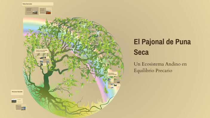 El Pajonal de Puna Seca by Sayuri Porras on Prezi