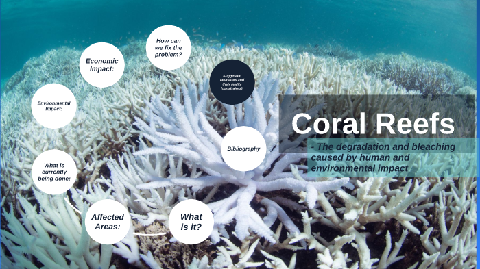Human Impact - Coral Reefs by Jenny Horel on Prezi