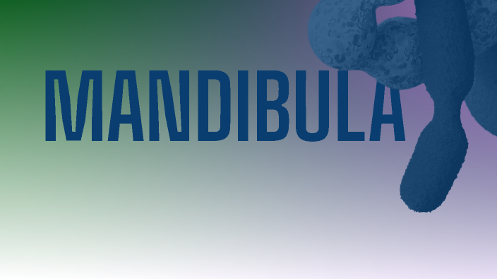 huesos mandibula by Yeimer aleizon Zapata Gonzalez on Prezi