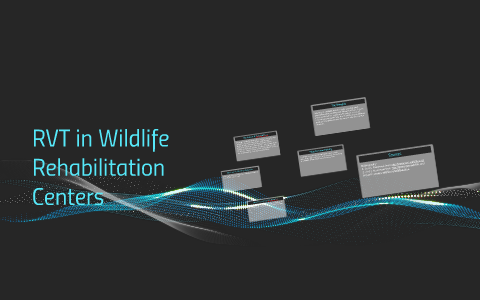 RVT in Wildlife Rehabilitation Centers by briana walker on Prezi
