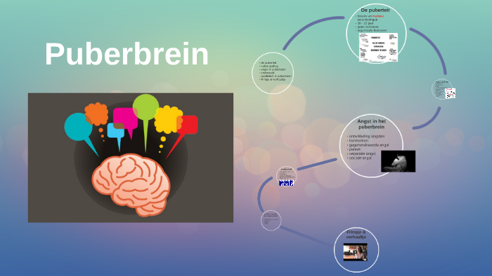 Puberbrein by on Prezi