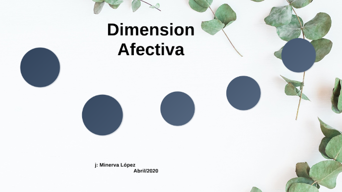 Dimensión Afectiva by Minerva LoGu on Prezi Next