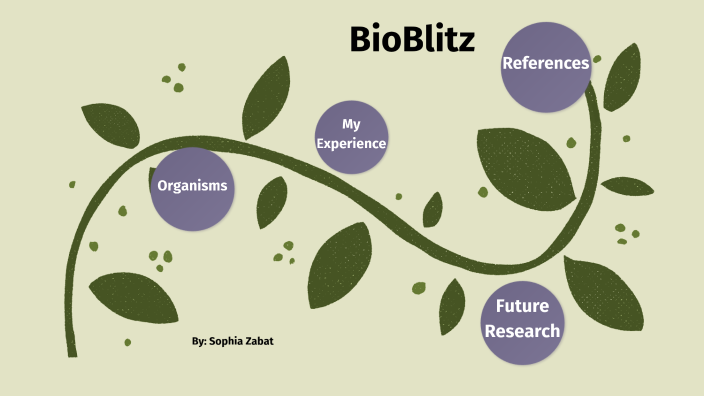 BioBlitz Presentation by Sophia Zabat on Prezi