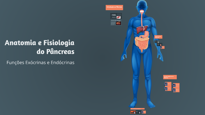 Anatomia e Fisiologia do Pâncreas by Francisca Andrade on Prezi