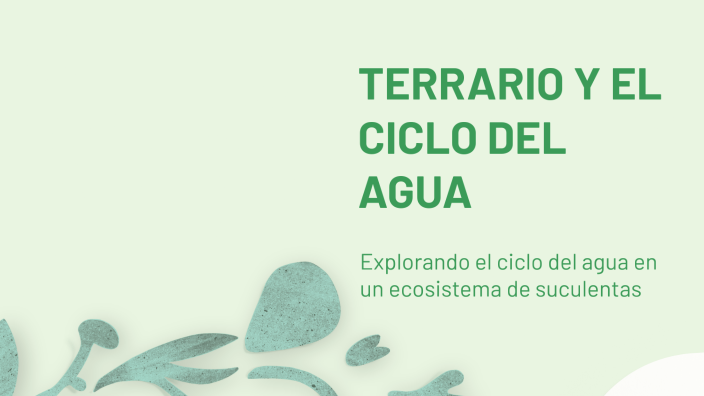 TERRARIO Y EL CICLO DEL AGUA by MILA BADILLO on Prezi