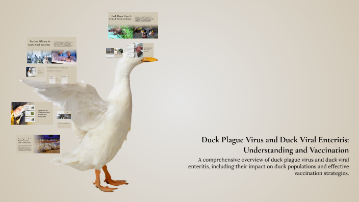 Duck Plague Virus and Duck Viral Enteritis: Understanding and ...