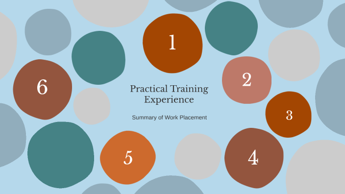 Practical Training Experience by Iliana S on Prezi
