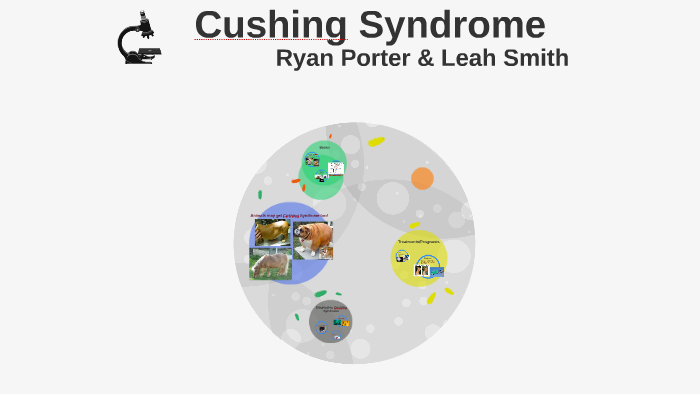 Cushing Syndrome by Claire Simmons on Prezi