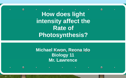Does Light Intensity increase the Rate of Photosynthesis? by Reona Ido ...