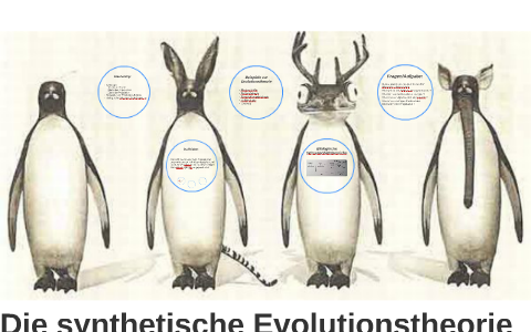 Die synthetische Evolutionstheorie by Gruppe Otto Hahn on Prezi