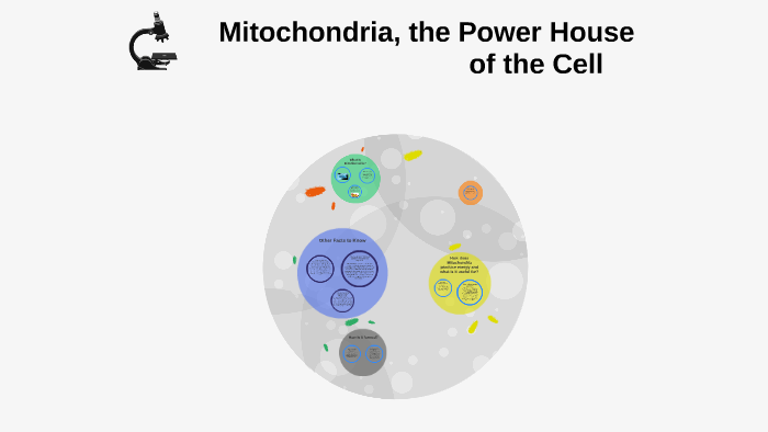Mitochondria, the Power House of the Cell by William Hansard on Prezi