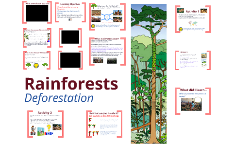 Deforestation - Year 7 by Miss Glenn on Prezi