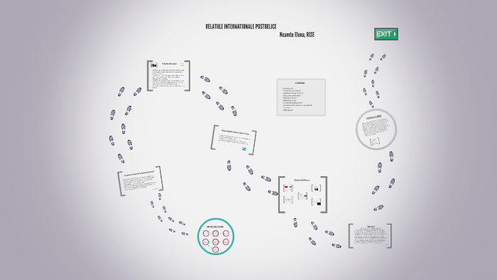 ISTORIA RELATIILOR INTERNATIONALE INTRE SECOLELE XIX- XX by Elena ...