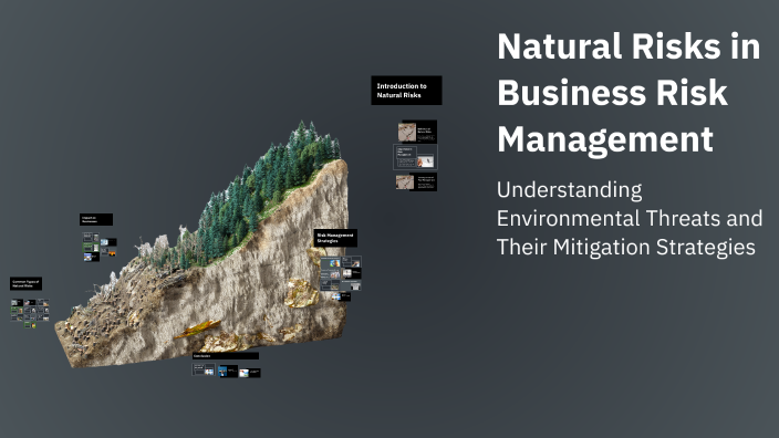 Natural Risks in Business Risk Management by tinatin kirvalidze on Prezi