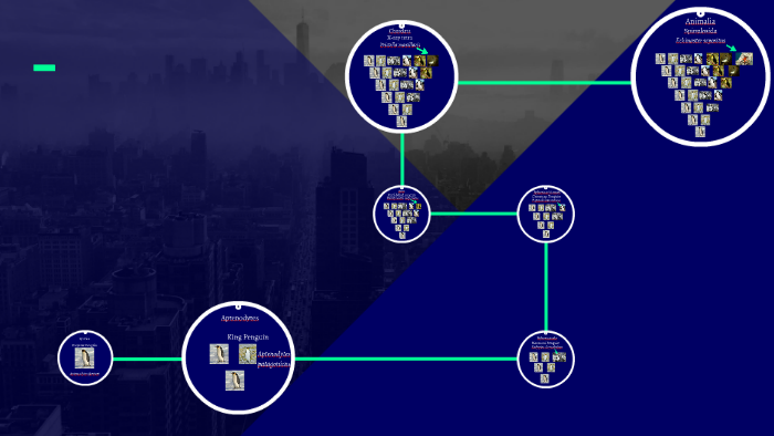 Emperor Penguin by Peyton Meyer on Prezi