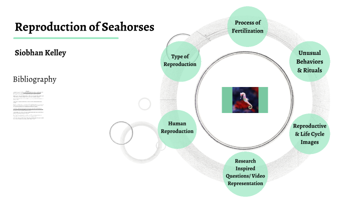 Reproduction of Seahorses by Siobhan Kelley on Prezi