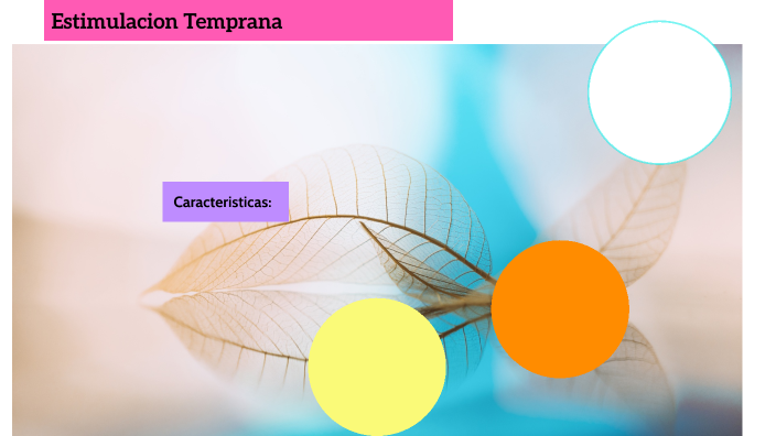 Conceptos Básicos De Estimulación Temprana by Zuleika Gallardo on Prezi