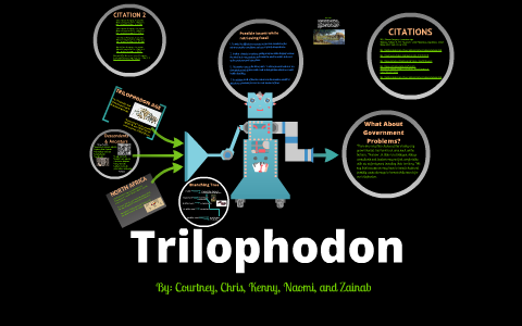 Trilophodon by Chris Johnson on Prezi