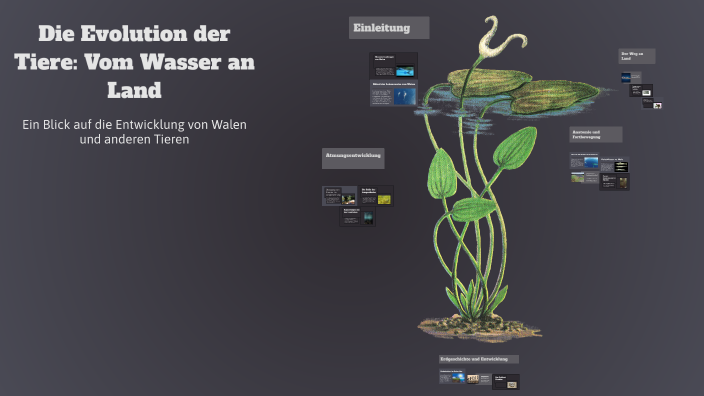 Die Evolution der Tiere: Vom Wasser an Land by Pierre Skibidi on Prezi