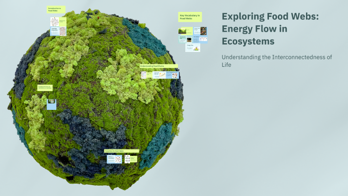 Exploring Food Webs: Energy Flow in Ecosystems by Meeka on Prezi