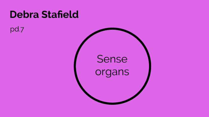 Sensory Organs by Debra Stanfield on Prezi