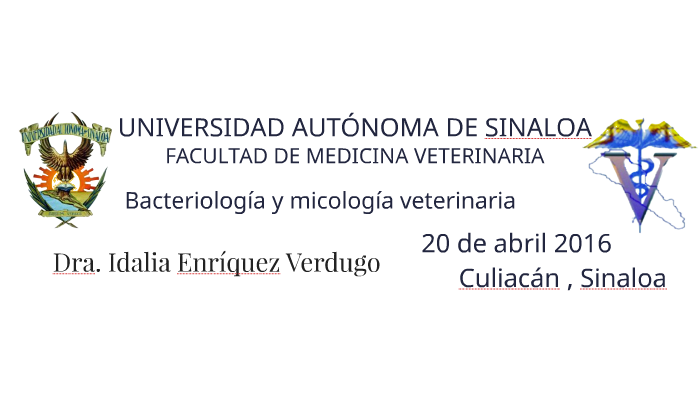 CORYNEBACTERIUM BOVIS by Paulina Conde on Prezi