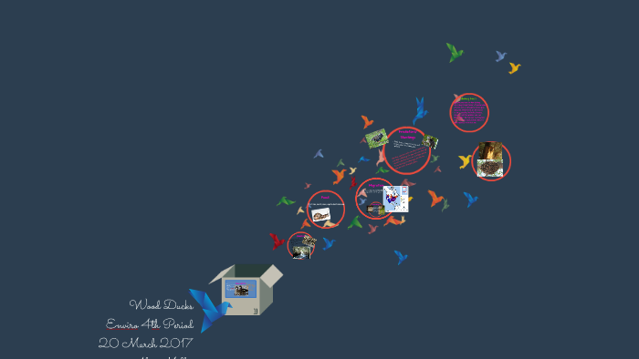 alex mellis by Alex Mellis on Prezi