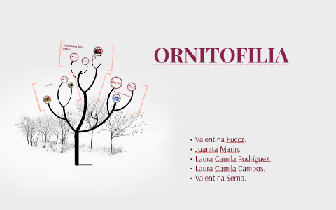 ORNITOFILIA by Valentina Fuccz on Prezi