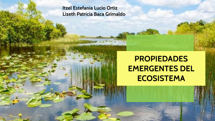 propiedades emergentes by itzel estefania lucio ortiz on Prezi