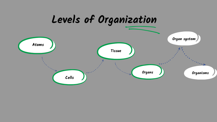 Levels of Organization Presentation by Frank Maldonado on Prezi