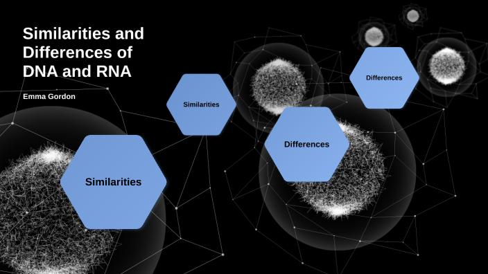 Similarities and Differences between DNA and RNA by Emma Gordon on Prezi
